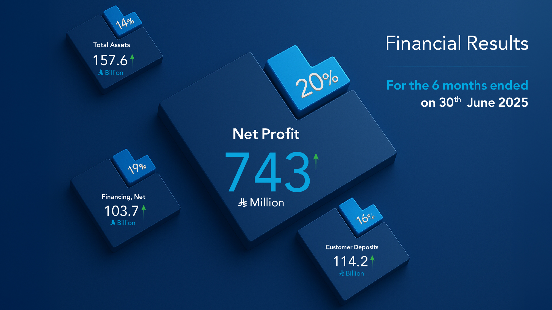 Q2 2025 Financial Results
